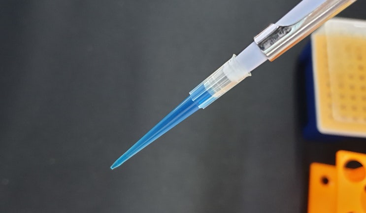 GMB Universal Tips : 10ul / 200ul / 1000ul micro pipettes tip, 마이크로피펫 팁 ...