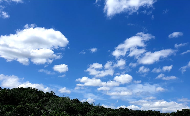 Today is... " Sunny Day " : 네이버 블로그