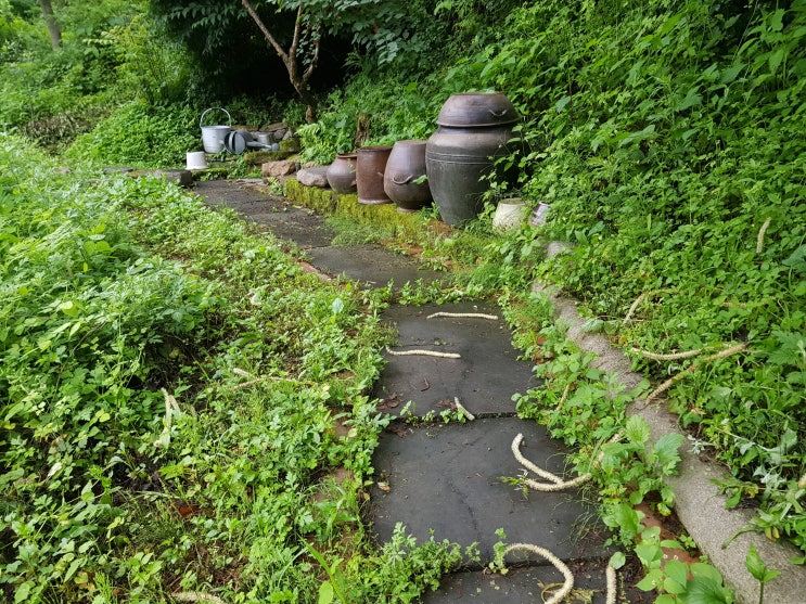 대구인근교가창대일리산아래땅농지주말농장텃밭432평착한가격평당60만원 가창김소장 아임전원넷 아임부동산 네이버 블로그