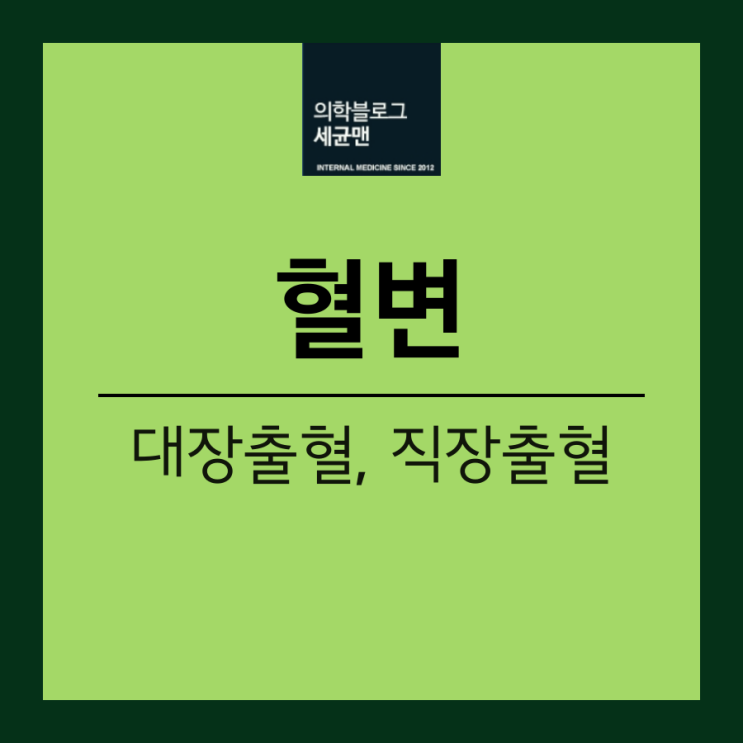 혈변 [대장 출혈, 직장 출혈] : Minimal bright red blood per rectum (BRBPR) : 네이버 블로그