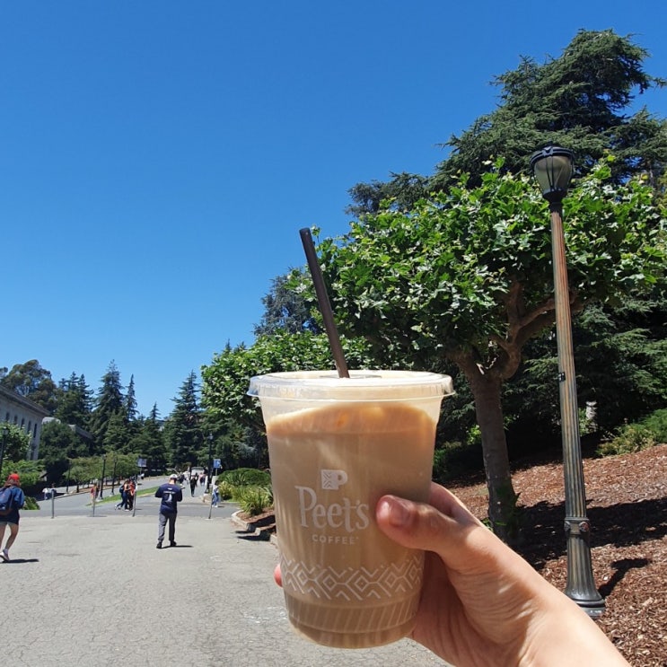 UC Berkeley Summer Session 교환학생 수기 : 네이버 블로그