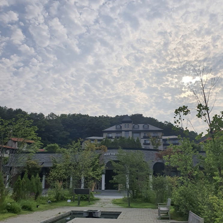 서울 근교 호캉스 경기도 이천 에덴 파라다이스 호텔♥ 세상의 모든 아침 티하우스 에덴 네이버 블로그
