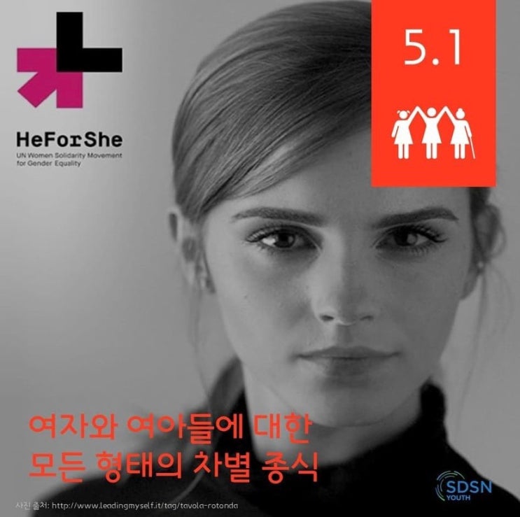 [지속가능발전목표 (SDGs)] 5 - 성평등 (Gender Equality) : 네이버 블로그