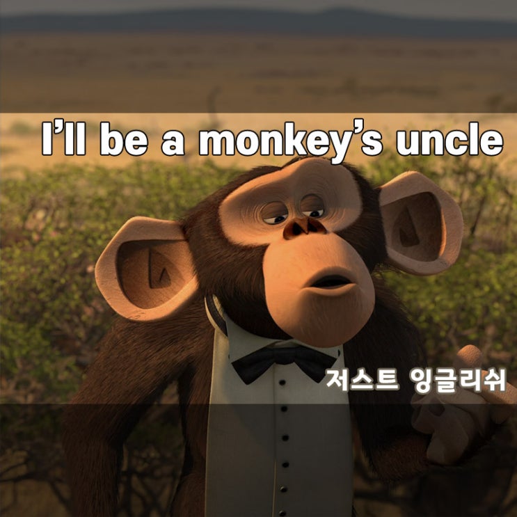 원숭이 삼촌? 'I'll be a monkey's uncle.'이 무슨 뜻? : 네이버 블로그