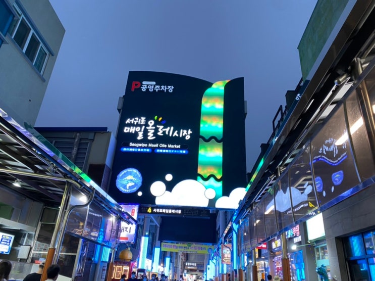 제주여행 서귀포 매일 올레시장 야시장 맛있는 먹거리 신선한 달인 회 딱새우 그리고 메밀 치킨 통닭 오겹살 튀김까지~포장해서 먹자