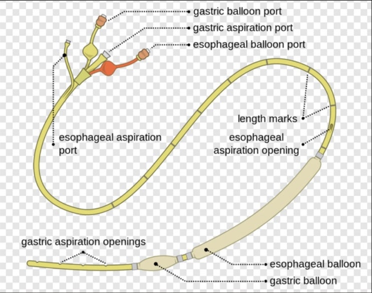 SB tube : 네이버 블로그