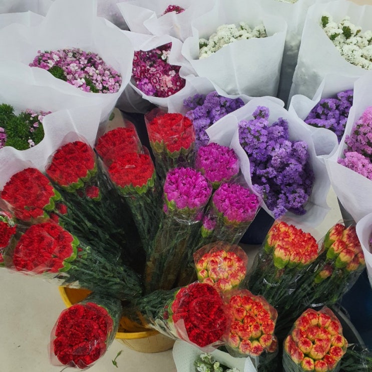 [싱가포르 꽃집]타이셍, GG Fresh Flower Pte Ltd : 네이버 블로그