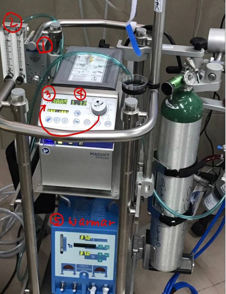 ECMO, Extracorporeal membrane oxygenation/간단히 이해하기/간호 : 네이버 블로그