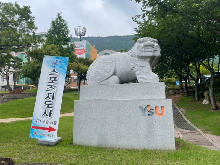 가라데가의 유소년 스포츠 지도사 우슈 도전기 우슈 쿵후 태극권 유소년 스포츠지도사 자격증 시험 최종 도전 그랜드슬램