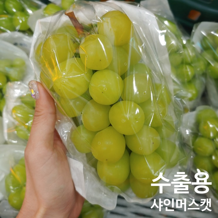 올해 첫 샤인머스켓 씨없는포도 18브릭스 이상고당도 샤인머스캣 전주과일가게 다네 전국택배 가능 네이버 블로그