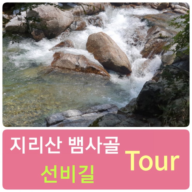 지리산 뱀사골 계곡을 다녀 왔습니다 : 네이버 블로그