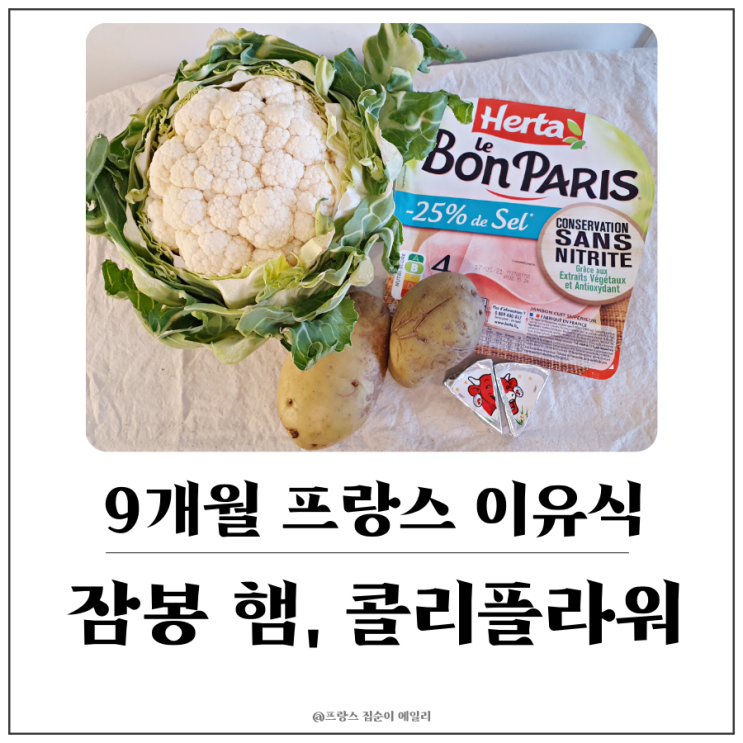 9개월 아기 프랑스 이유식 잠봉 햄저염 콜리플라워 감자 래핑카우 치즈 퓨레 만들기 네이버 블로그