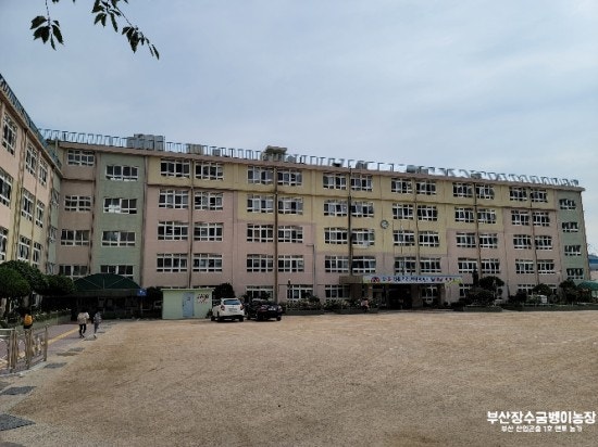 곤충사육사 진로 강사 이경훈 대교초등학교에서 아이들과 진로 특강 체험 곤충컨설턴트 소개를 했습니다 네이버 블로그