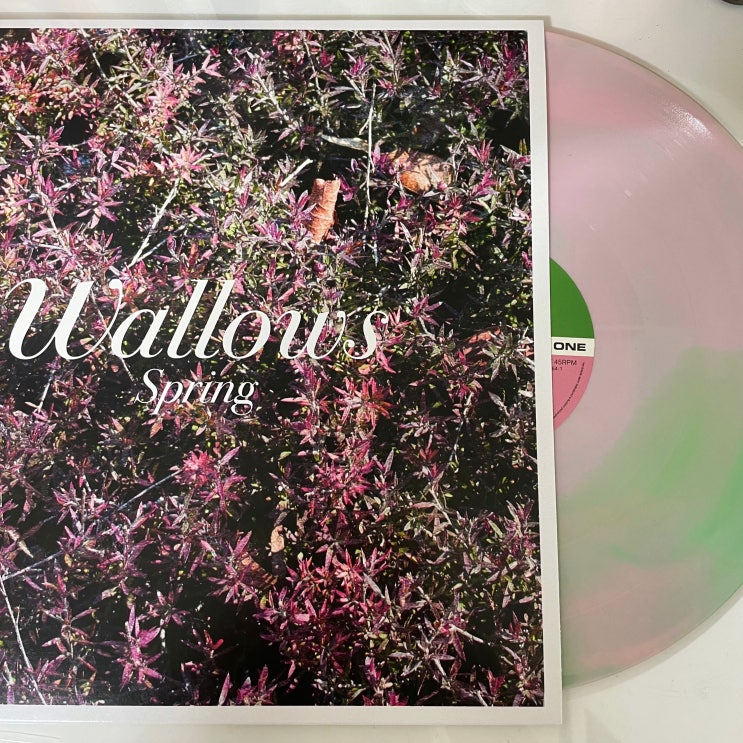 Vinyl : Wallows Spring 왈로우스 한정판 바이닐 후기 : 네이버 블로그