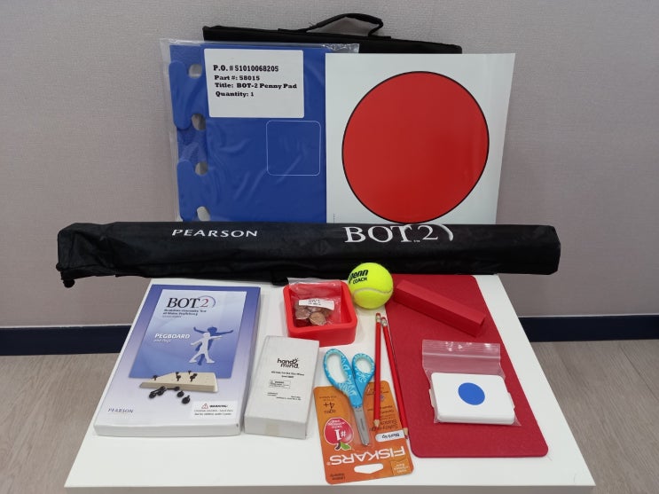 운동능력검사 2 (Bruininks－Oseretsky Test of Motor Proficiency 2) : 네이버 블로그