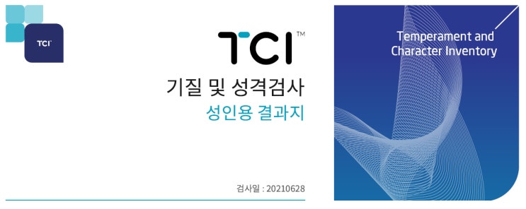 TCI 검사 후기 : 네이버 블로그