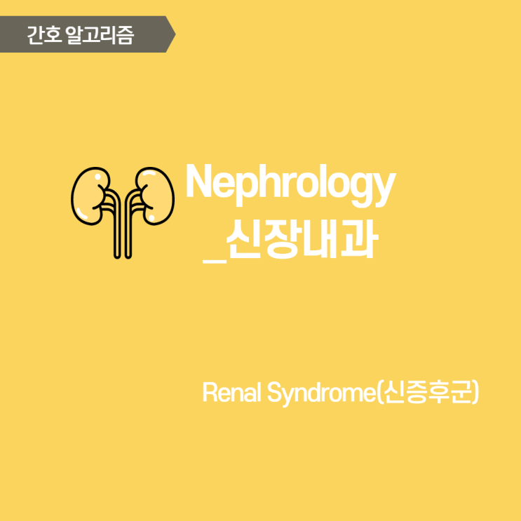 간호알고리즘 신장내과편 신증후군 환자 간호사정 입원부터 퇴원까지 신증후군환자간호 증상 검사 네이버 블로그