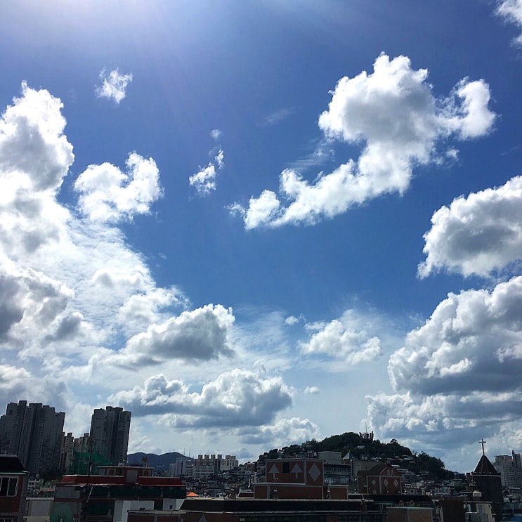 180901-180930 개-강 : 네이버 블로그