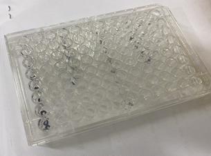 BCA Protein Assay (단백질 정량법) : 네이버 블로그