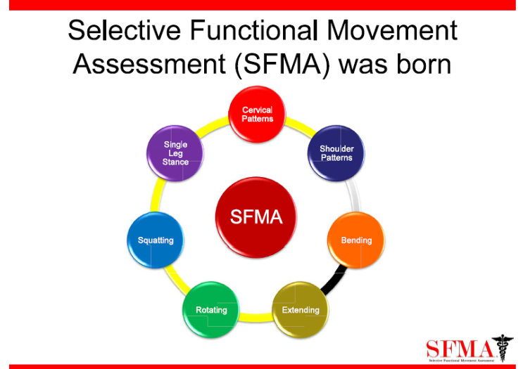SFMA 하위검사 이해하기 : 네이버 블로그