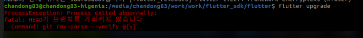 ProcessException: Process exited abnormally: fatal: HEAD가 브랜치를 가리키지 ...