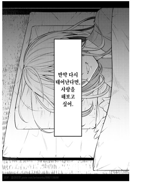 100년을 살아온 고양이 이야기 만화 : 네이버 블로그