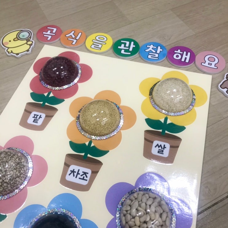 품절 곡식 관찰판 곡식관찰하기어린이집 유치원 교실꾸미기 환경구성 과학영역 감각탐색영역 교구 환경구성 네이버 블로그