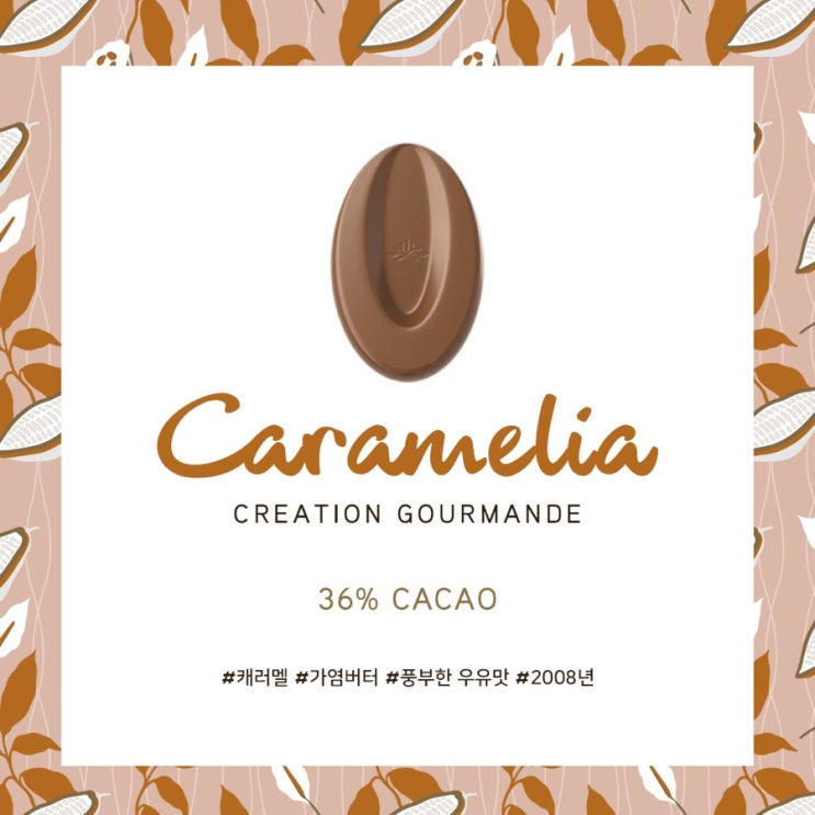Caramelia 카라멜리아 36% [발로나코리아][VALRHONA][발로나제품소개][#구르메 크리에이션] : 네이버 블로그