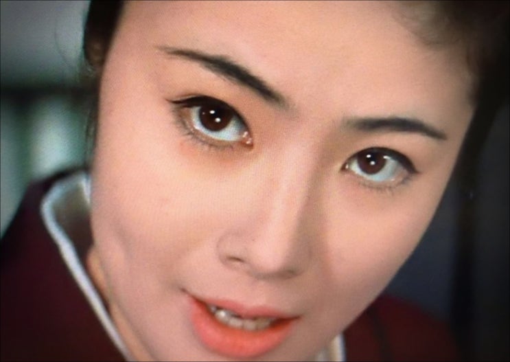 藤 純子 Fuji Sumiko : 네이버 블로그