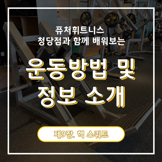 핵스쿼트 헬스장 하체운동 기구 사용법 퓨처휘트니스 청당점 천안헬스청당동헬스청수동헬스pt 네이버 블로그