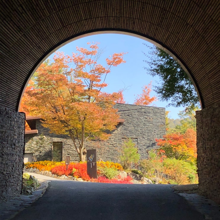 [제천] 포레스트 리솜 힐링 :) - FOREST RESOM : 네이버 블로그