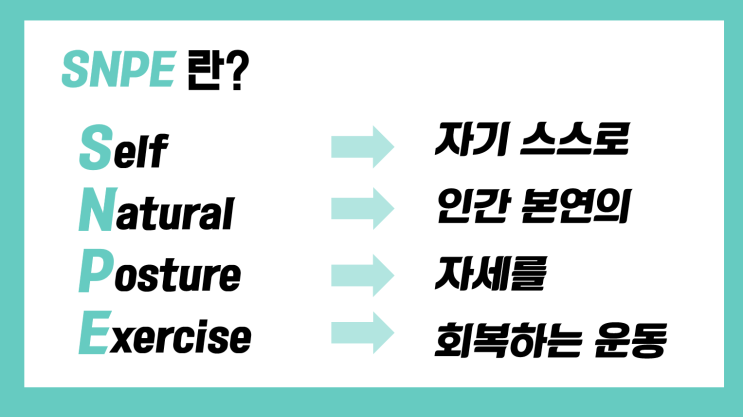 Snpe 바른자세 척추운동이란 약자 의미 창안 배경 등등 네이버 블로그