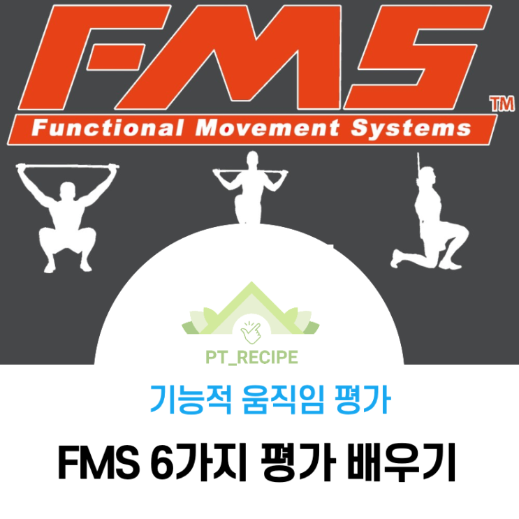 [FMS 검사] 6가지 검사 (통합편) : 네이버 블로그