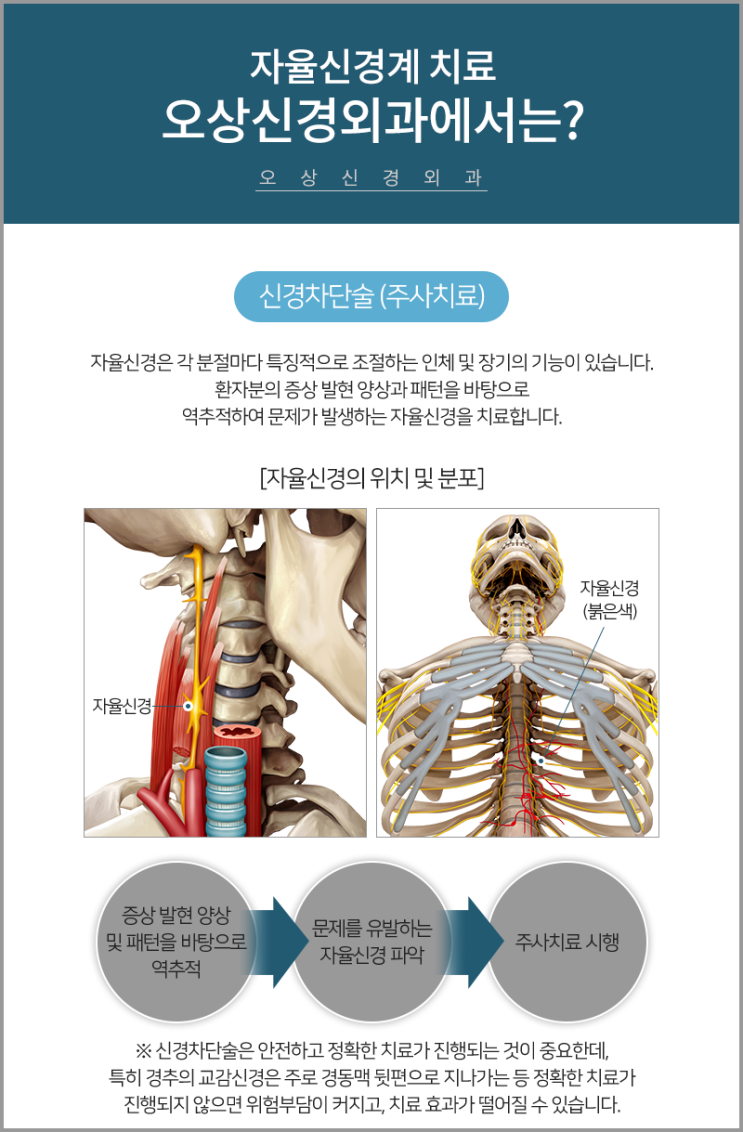 성상신경자율신경계 교감신경 성상신경차단술을 통한 치료 효능 네이버 블로그