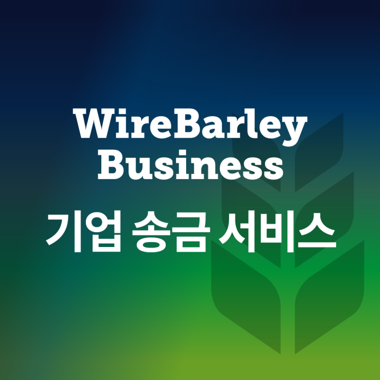 법인해외송금은 와이어바알리 비즈니스로 하세요! : 네이버 블로그