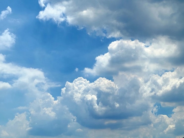 하늘을 보아요 : 네이버 블로그