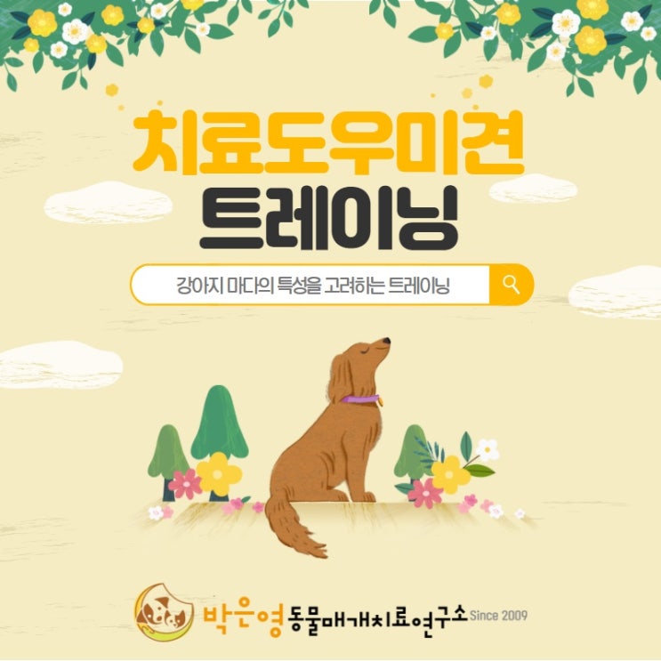 치료도우미견 트레이닝 네이버 블로그