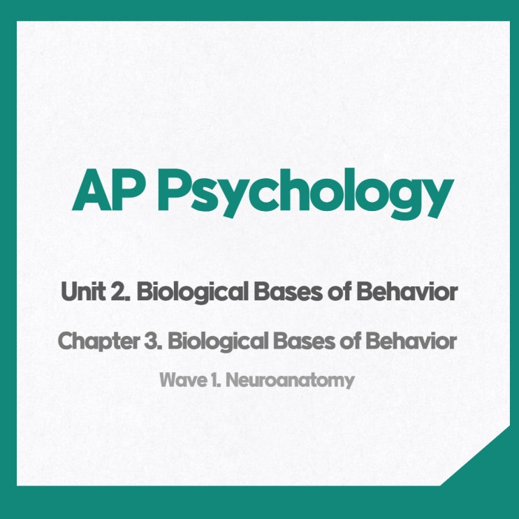 [AP Psychology] Unit 2/ Chapter 3/ Wave 1 : Neuroanatomy : 네이버 블로그