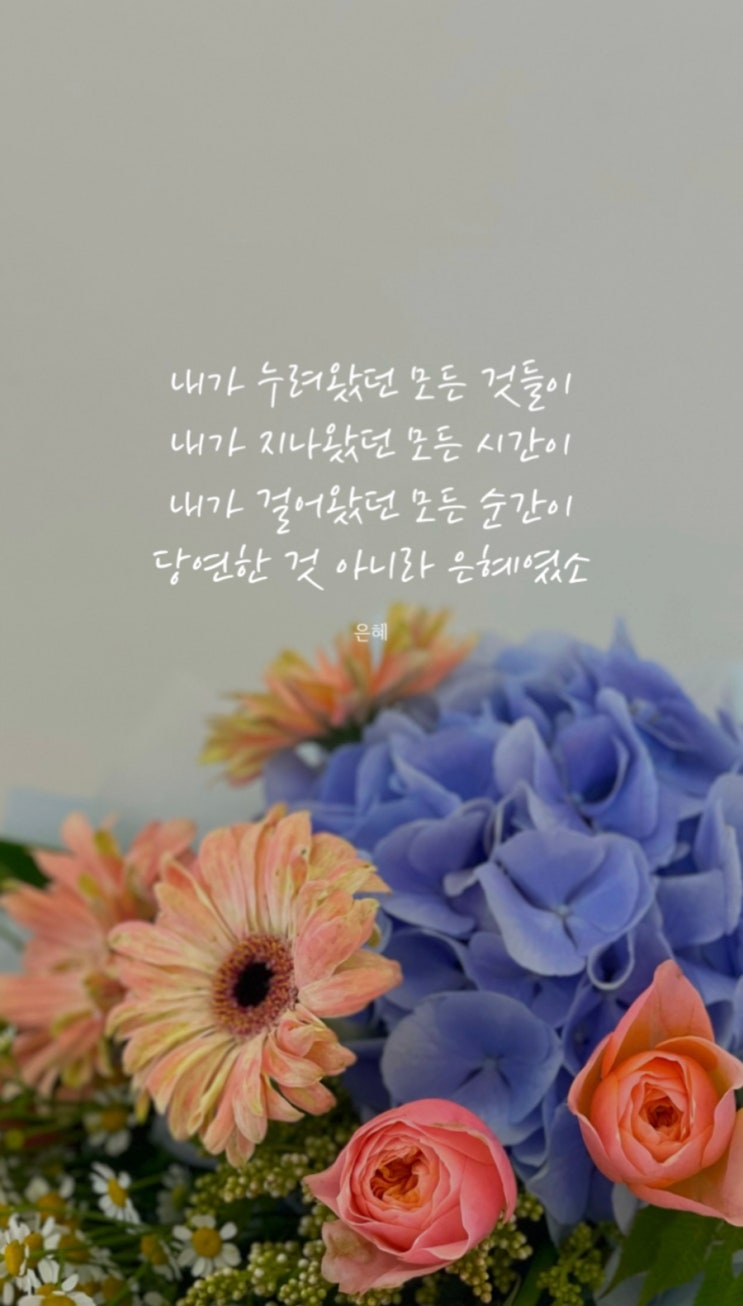 은혜 내가 누려왔던 모든 것들이 내가 지나왔던 모든 시간이 손경민 찬양가사 배경화면 아이폰 꽃 말씀 배경화면 네이버 블로그