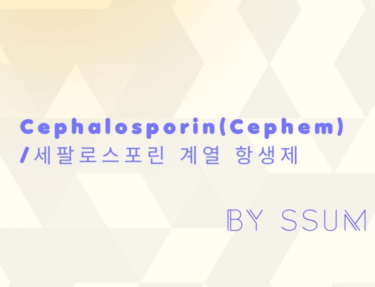 세팔로스포린계/Cephalosporin계/cephem계 항생제 : 네이버 블로그