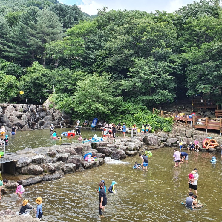 온 가족이 반한 서울 근교 가족 나들이 축령산 자연휴양림 네이버 블로그