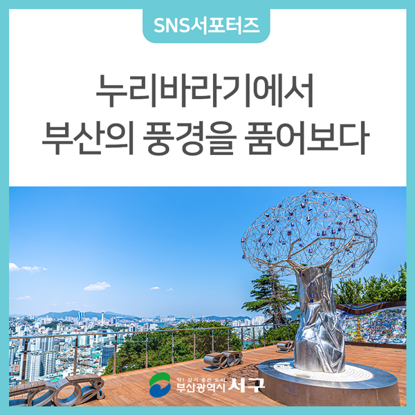 2021 서구 Sns 서포터즈 누리바라기에서 부산의 풍경을 품어보다 네이버 블로그
