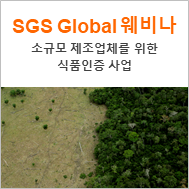 [SGS Global] Recognition for small suppliers - Global Market Solutions ...