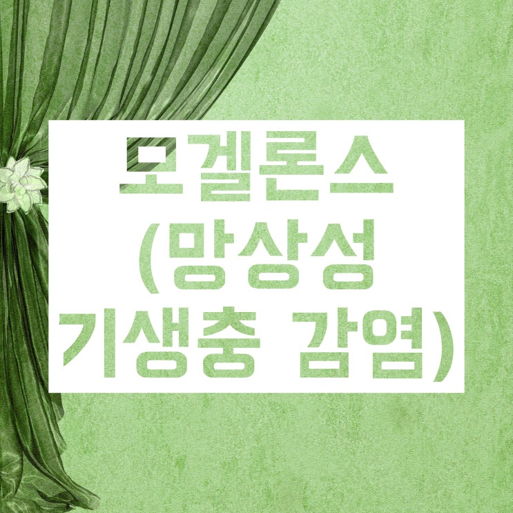 희귀병 종류 매우 드물고 증상이 특이한 것들 8선 네이버 블로그