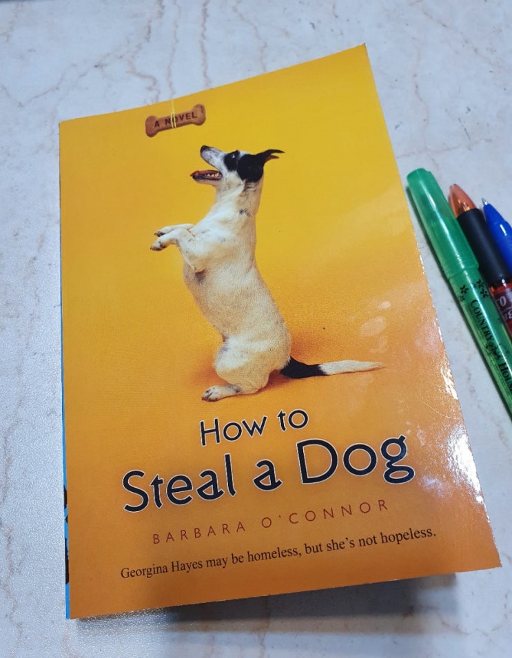 [매일5쪽 영어원서 8] How to Steal a Dog : 네이버 블로그
