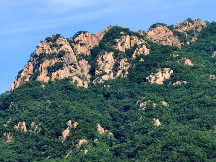 산 : 네이버 블로그