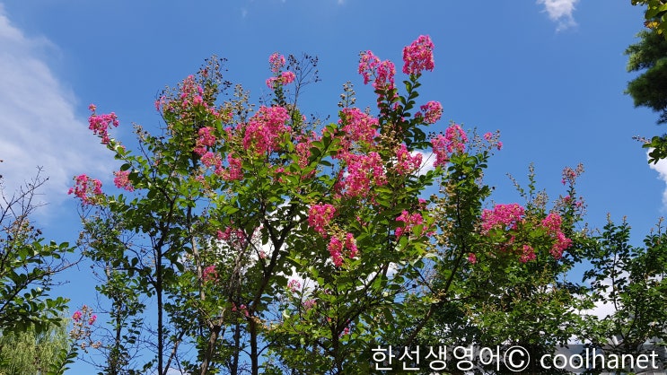 송파방이동 강동 중등부 중고등영어학원 한선생해설 2020학년도 수능영어 32번 빈칸추론문제 해법 수동태 독립분사구문 의미상