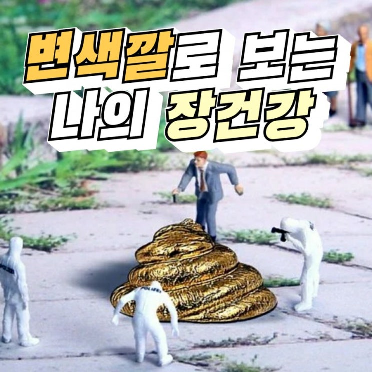 대변색깔로 보는 장건강 검은색 흑변 성인 초록색 녹변 흰색변 회색변 선홍색 혈변 원인 치질 대장암 네이버 블로그