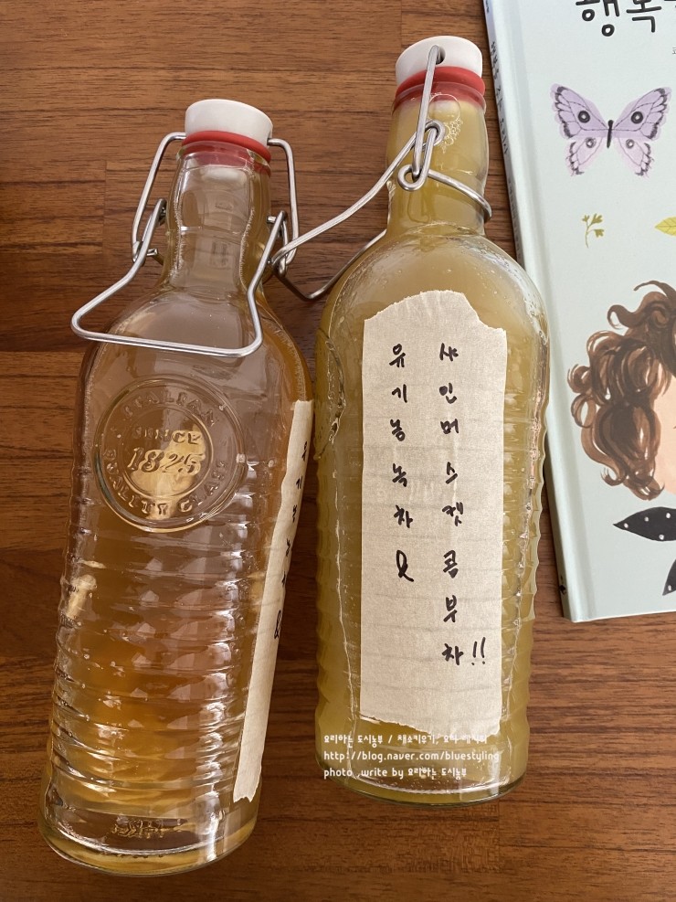 발효 워크숍 콤부차 만들기 국내산 유기농 녹차로 만든 콤부차 샤인머스켓 콤부차 생강 콤부차 홈메이드