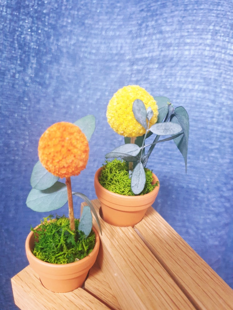 우드메모꽂이 작은편지함 미니화분 사무실꾸미기 납골당꾸미기 인테리어용 폴라로이드사진과 함께 꾸미기 홍대캔들 디엔캔들오 홍대점 ...